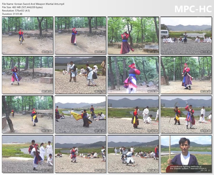 DownloadNow Ancient Korean Sword and Weapon Arts by Im Dong kyu Junsado